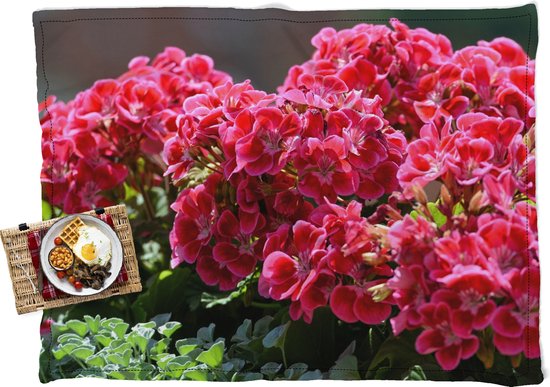Picknickkleed - Buitenkleed - Rode geranium bloemen in een tuin ...