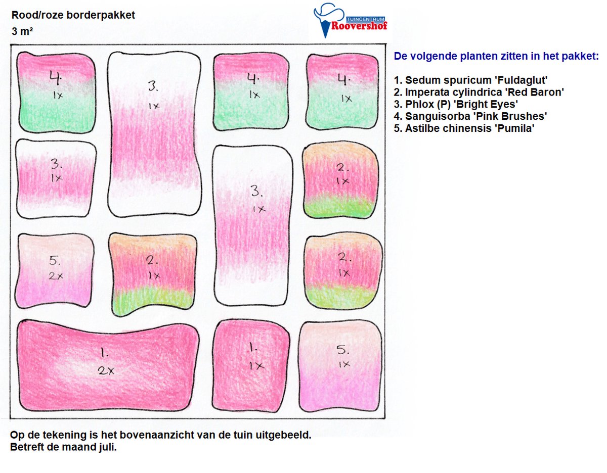 Borderpakket 'Rood & roze border' - rood en roze bloeiend - 15 planten ...