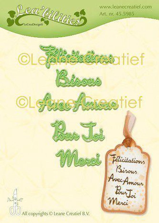 Lea’bilitie Franse teksten snijmal | bol