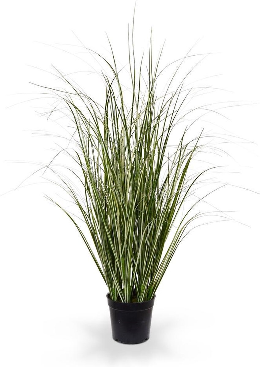 Kunst Rietgras plant 60cm - groen/creme | bol.com