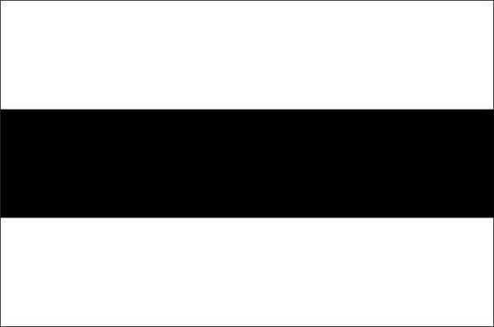 Vlag gemeente Delft 200x300 cm | bol.com