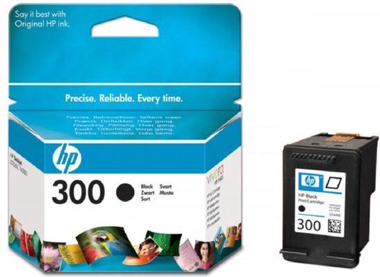 HP 300 - Inkcartridge / Zwart | bol