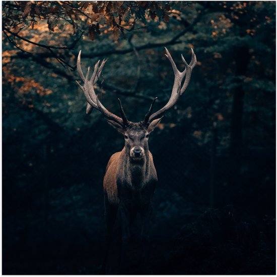 WallClassics - Poster (Mat) - Hert met Groot Gewei tussen de Bomen ...