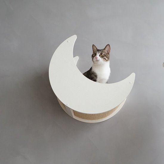 CatS Design Katten klimmuur Klim wand - Krabpaal muur - Klimmuur kat ...