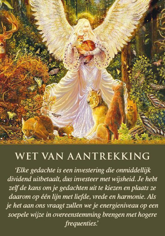 Dagelijkse leiding van je Engelen, Doreen Virtue | 9789085681199 | Boeken | bol