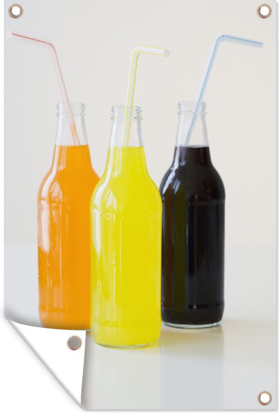 Tuinposters buiten Glazen frisdrank flessen met rietjes - 60x90 cm ...