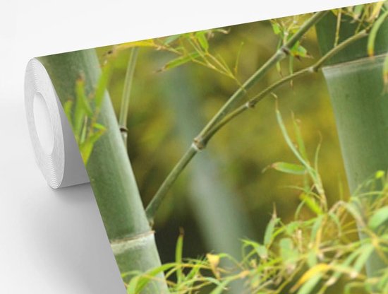 Behang - Fotobehang Bamboe in bloei - Breedte 180 cm x hoogte 280 cm ...