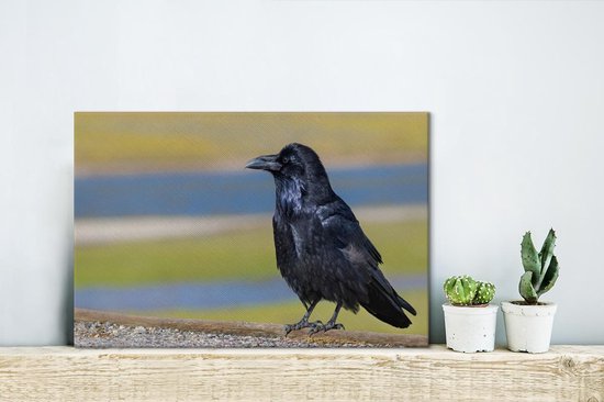 Canvas Schilderij Een raaf met een natuurlijke achtergrond - 30x20 cm ...