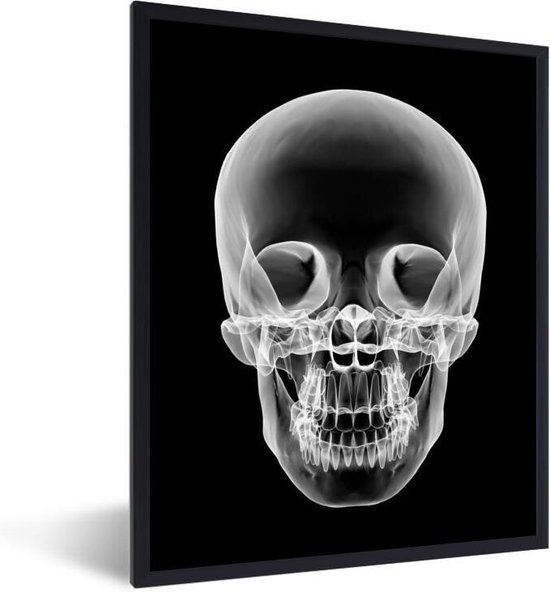 Fotolijst incl. Poster - Een doorzichtige tekening van een schedel ...