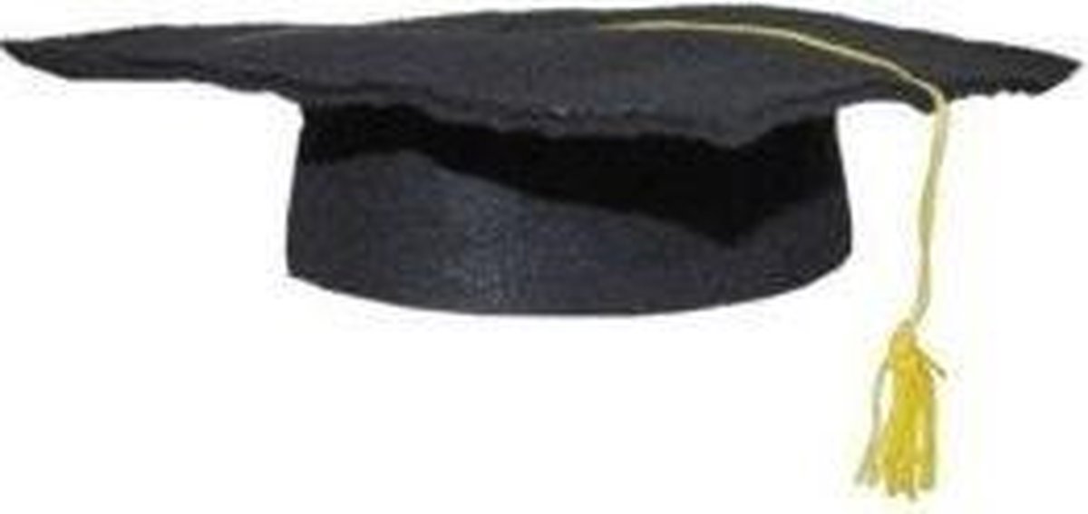 bol.com | Folat - Hoed - Geslaagd - Professor - Zwart