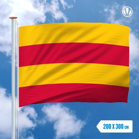 Vlag Heemstede 200x300cm | bol