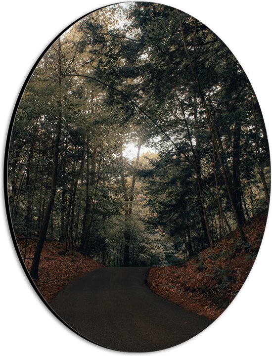 WallClassics - Dibond Ovaal - Paadje door het Bos - 21x28 cm Foto op ...
