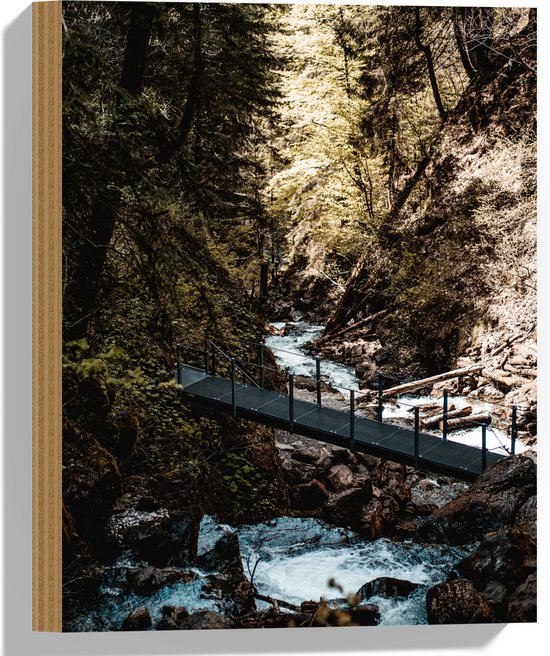 WallClassics - Hout - Stalen Brug door Begroeid Landschap - 30x40 cm ...