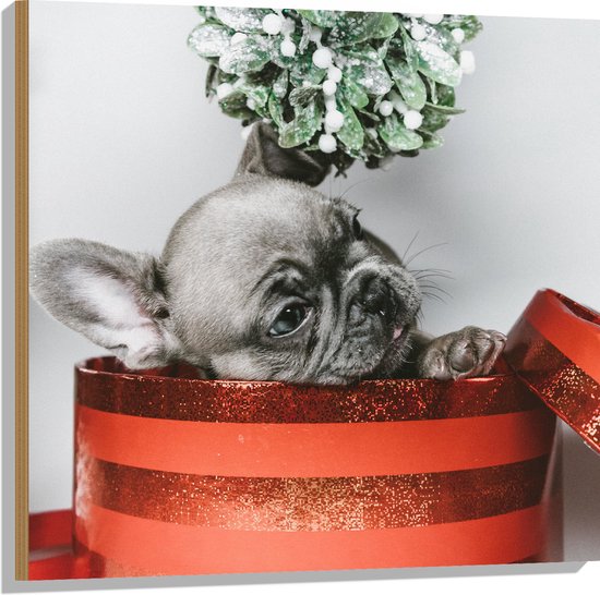 WallClassics - Hout - Grijs Hondje in Rode Doos met Groene Blaadjes ...