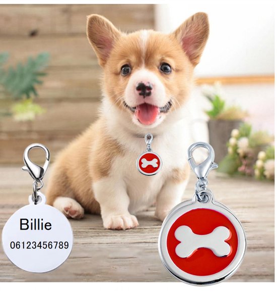 Akyol - Hondenpenning bot klein - Hondenpenning inclusief graveren - ID ...