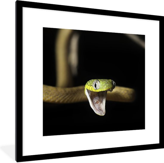 Fotolijst incl. Poster - Slang - Groen - Geel - 40x40 cm - Posterlijst ...