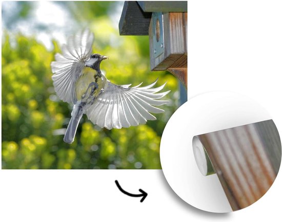 Behang - Fotobehang Een koolmees vliegt een vogelhuisje in - Breedte ...