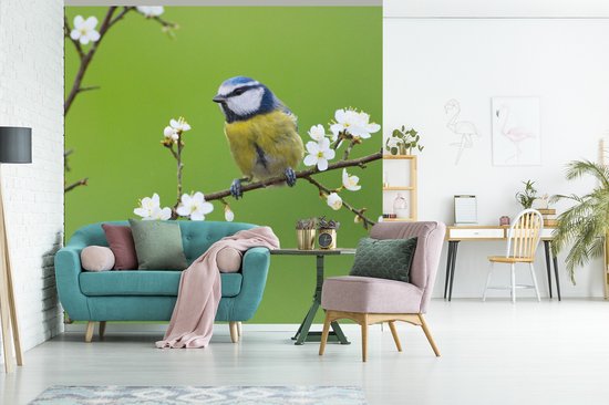 Behang - Fotobehang Pimpelmees - Tak - Bloemen - Bloesem takken - Vogel ...