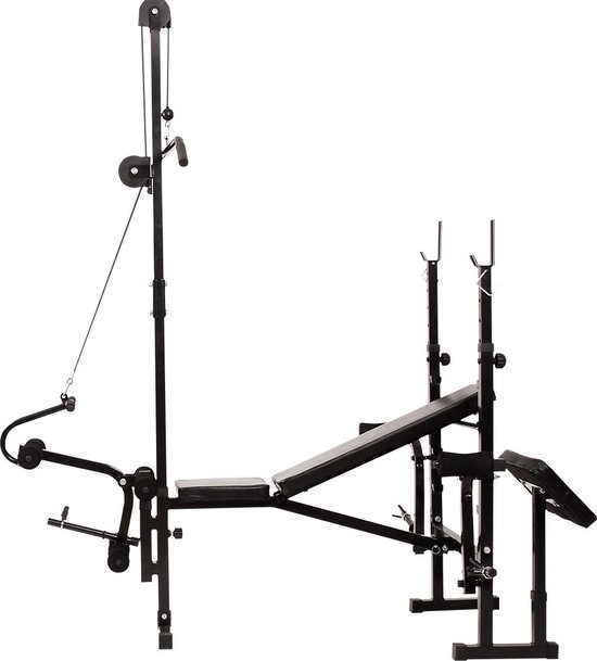 Physionics Multifunctionele Halterbank - Trainingsbank - Krachtstation ...