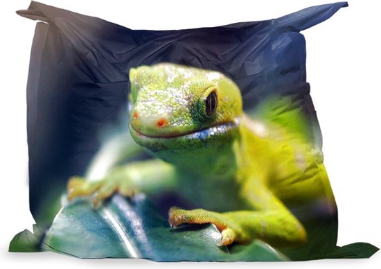 PillowMonkey zitzak - Groene gekko op een blad - 140x100 cm - Binnen en ...