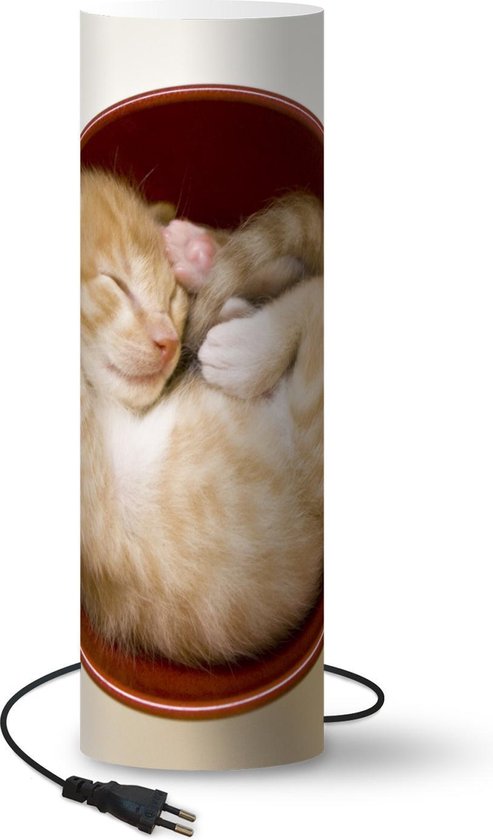 Lampe Chatons - Un chaton dans un bol rouge - 70 cm de haut - Ø22 cm ...