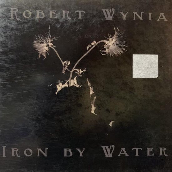 Robert Wynia - Iron By Water (CD), Robert Wynia | Muziek | bol