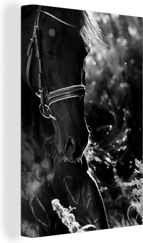 Tableau Tableau Portrait photo cheval noir au soleil - noir et blanc ...