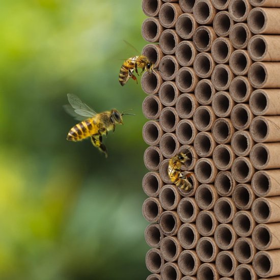 120 Stukken Mason Bee House - 6" Lange Cardboard Bee Tubes - Refills ...
