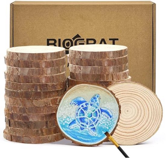 Natuurlijke Houten Schijven 9 cm - 22 Stuks voor Creatief Knutselen en ...