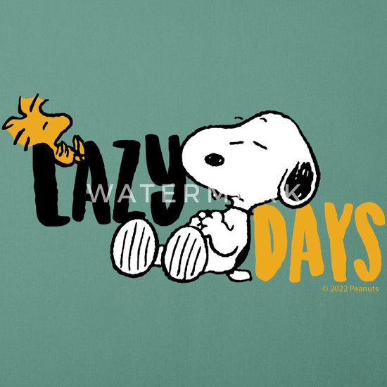 Peanuts Snoopy Lazy Days Chilling | bol