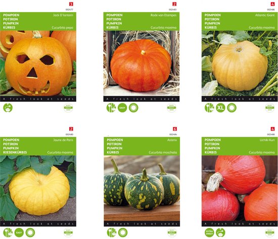 Cactula pompoenen zaden set van 6 soorten | Pompoenen Jack O'Lantern ...