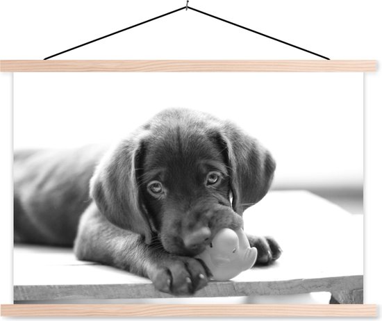 Posterhanger incl. Poster - Schoolplaat - Labrador Retriever puppy ...