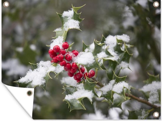 Muurdecoratie buiten Een besneeuwde hulst met rode bessen - 160x120 cm ...