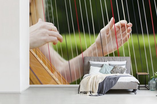 Behang - Fotobehang - Persoon speelt harp - Breedte 330 cm x hoogte 220 ...