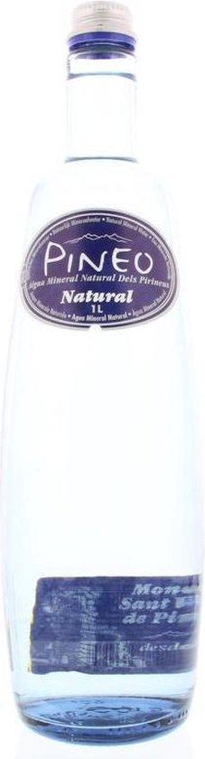 Pineo Natural mineraalwater 1 liter | bol