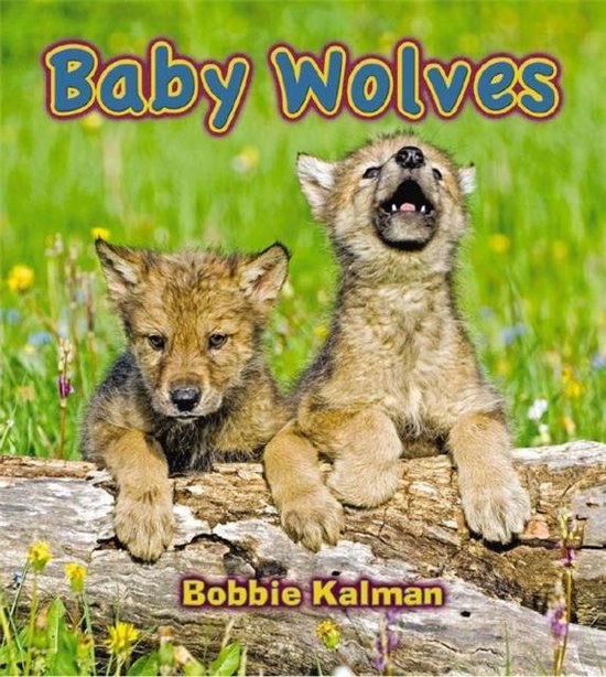 Baby Wolves, Bobbie Kalman | 9780778749004 | Boeken | bol.com