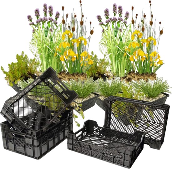 vdvelde.com - Helofytenfilter Mix - Voor ca. 10 m² - 144 losse ...