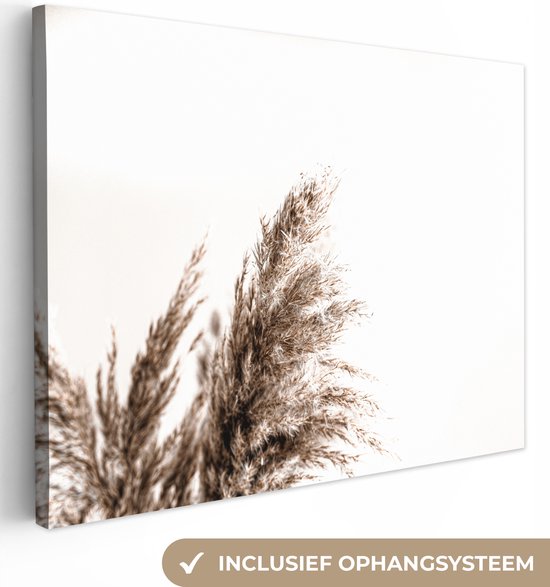 Canvas Schilderij Pampas pluimen - Natuur - Pampasgras - 40x30 cm - Wanddecoratie | bol