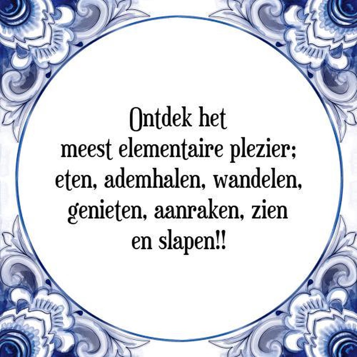 Tegeltje met Spreuk (Tegeltjeswijsheid): Ontdek het meest elementaire ...