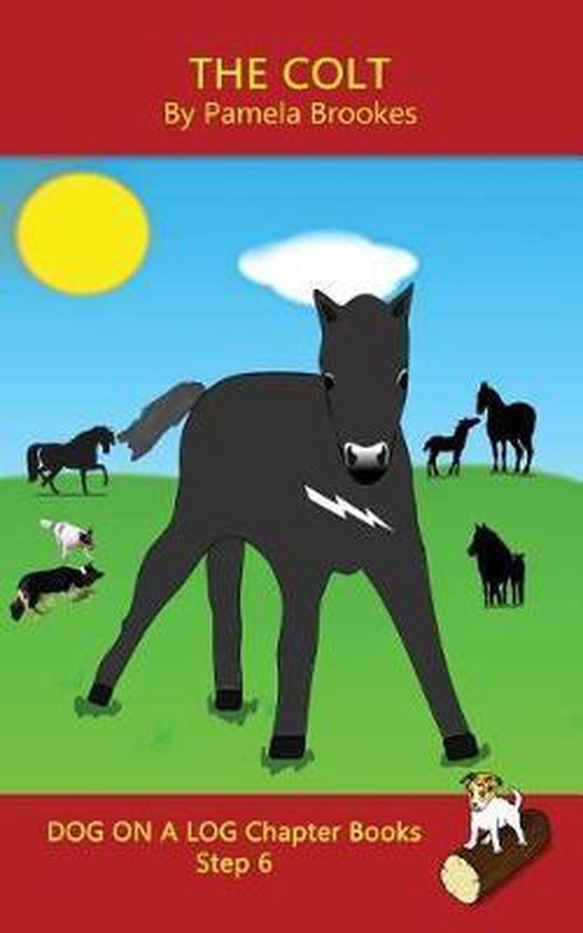 The Colt Chapter Book, Pamela Brookes | 9781949471366 | Boeken | bol.com