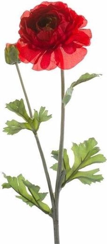 Kunst Ranonkel tak 45 cm rood | bol.com
