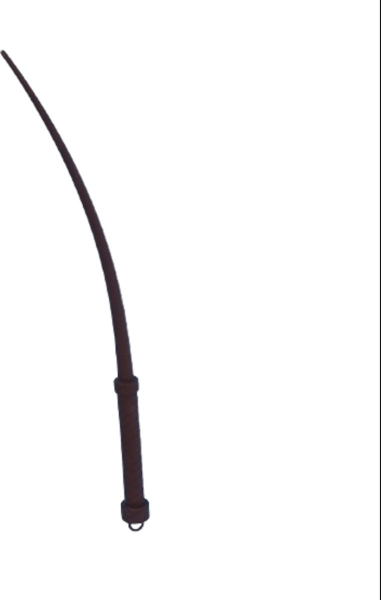 Rubberen zweep 63 cm - zwart | bol.com