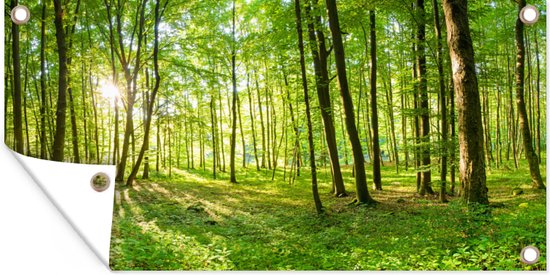 Wanddecoratie buiten Natuur - Bomen - Bos - Groen - Zonlicht - 160x80 ...
