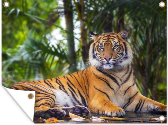 Tuinschilderij Tijger - Dieren - Bos - Bladeren - Jungle - 80x60 cm - Tuinposter -... | bol