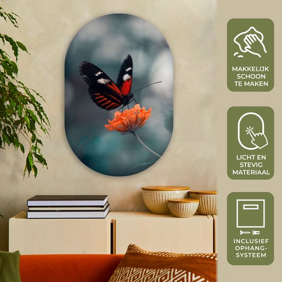 Muurovaal - Kunststof Wanddecoratie - Ovalen Schilderij - Vlinder ...