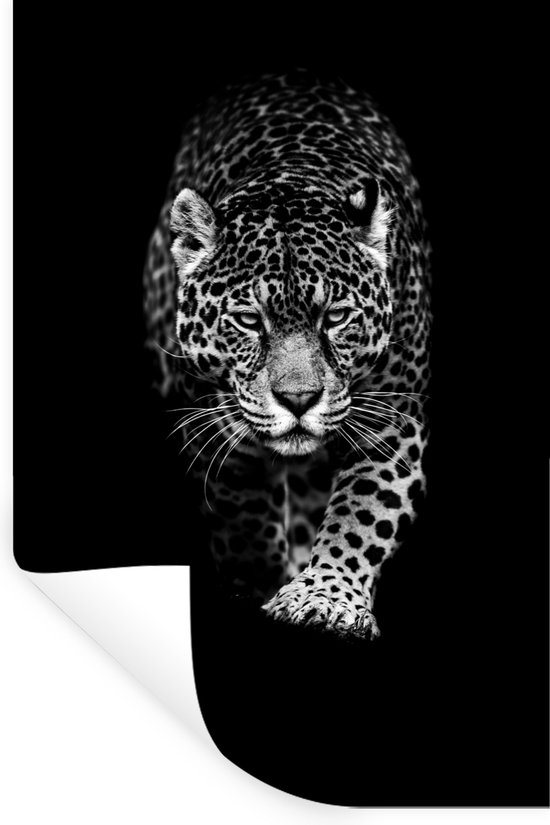Muurstickers - Sticker Folie - Dieren - Zwart - Luipaard - Wit - Wild - 20x30 cm -... | bol