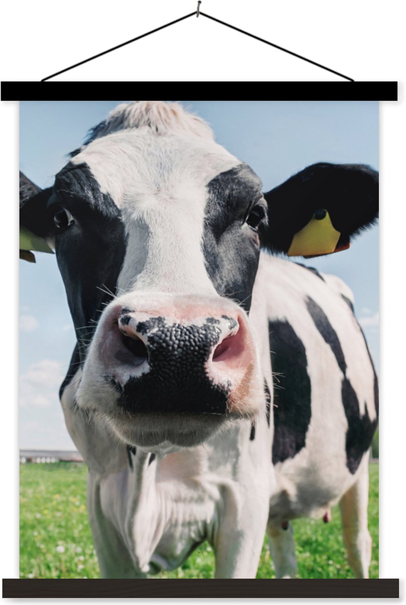 Porte-affiche avec affiche - Affiche scolaire - Vache - Pâturage ...