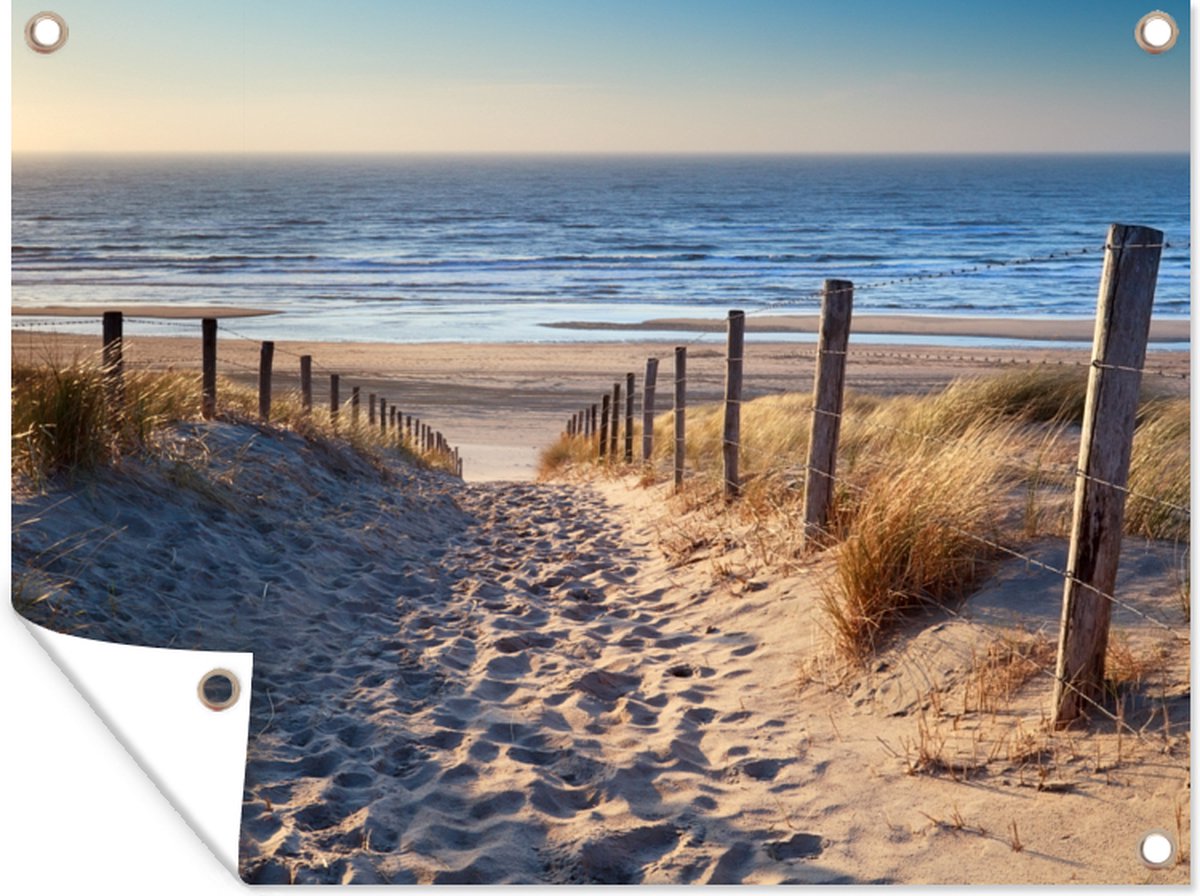 Tuinposter strand en duinen - Strand - Nederland - Planten - Zee ...