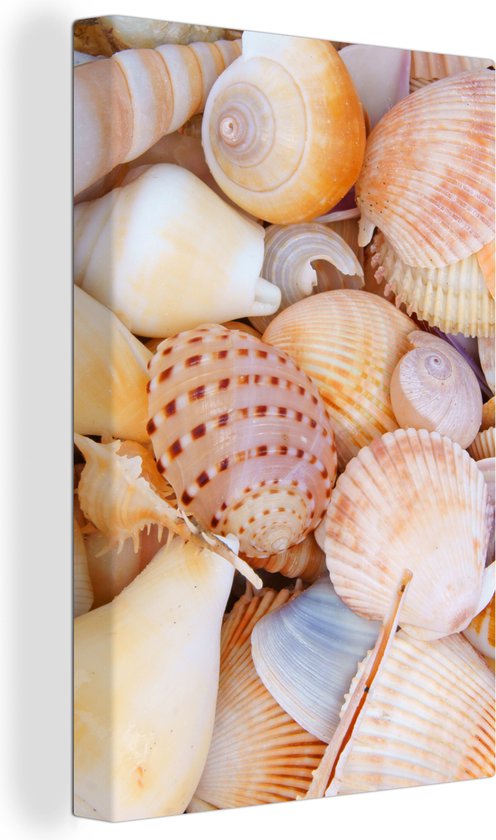 Canvas - Schilderij - Schelpen - Oranje - Strand - Kamer decoratie ...