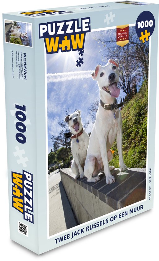 Puzzel Twee Jack Russel honden op een muur - Legpuzzel - Puzzel 1000 ...